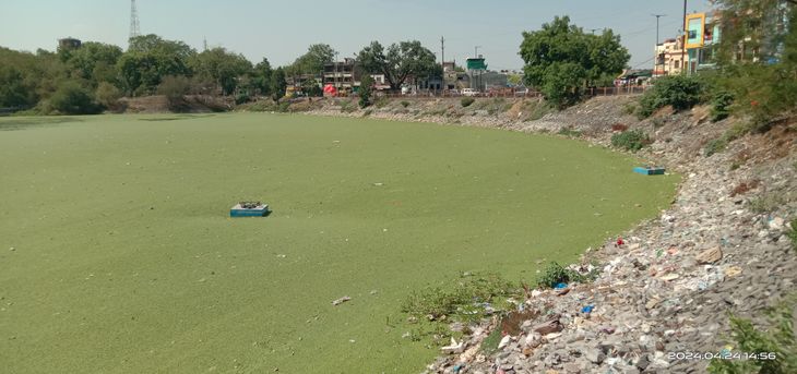 Drainage water from the colonies is getting mixed in the small pond ...