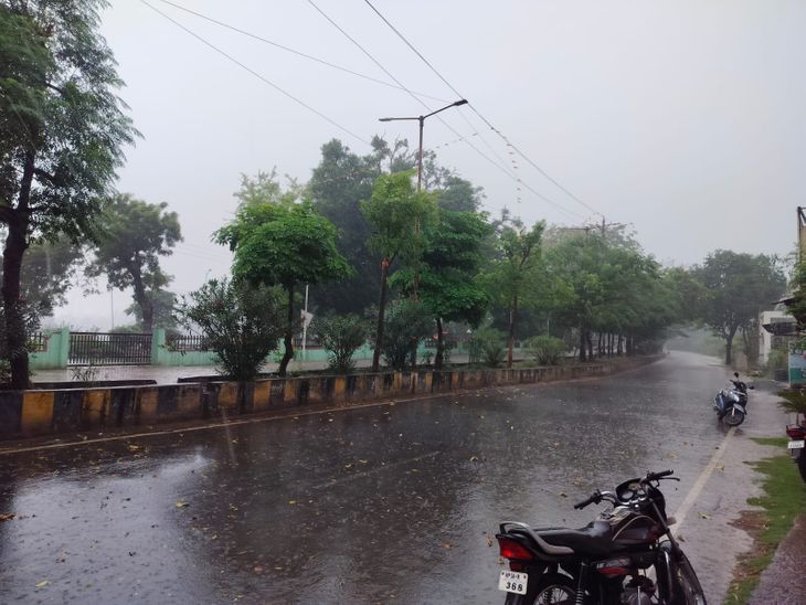 The early morning rain brought the feeling of rain, got relief from the ...