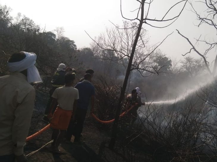A huge fire broke out in Sohelva forest of Shravasti | श्रावस्ती के ...