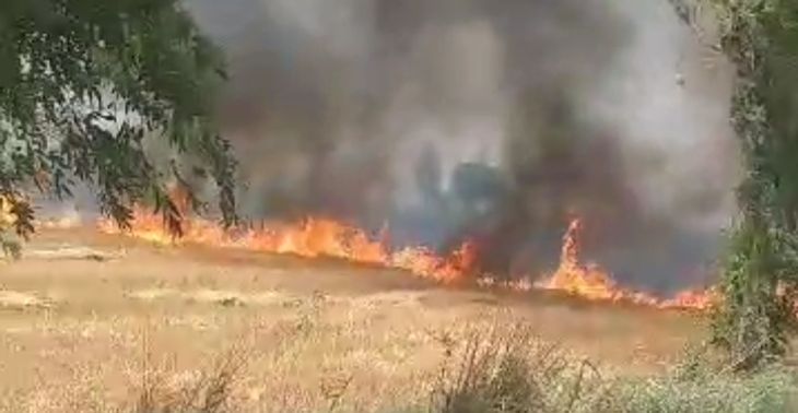 Straw burnt on 50 acres of land in Diwana, Rattatheh, the fire spread ...