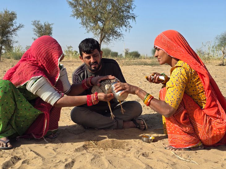 Tilor bird was treated and released | तिलोर पक्षी का उपचार कर छोड़ा ...