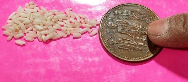 Fraud of Rs 60 lakh by telling rice puller coin, FIR lodged | राइस पुलर ...