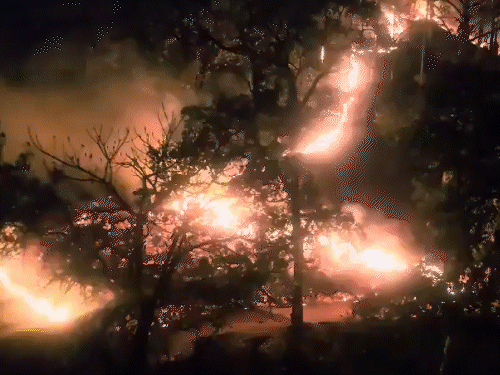 Uttarakhand Forest Fire Hearing Update; Supreme Court | Dehradun News ...