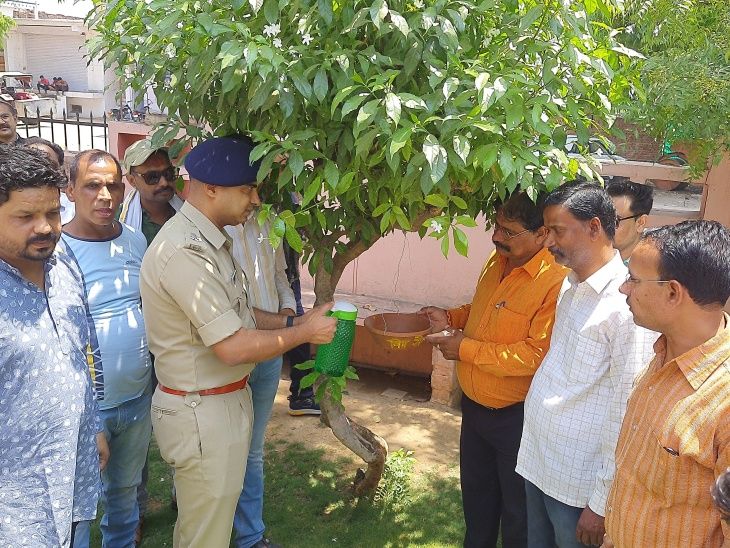 Bird feeders tied in SP office and collectorate | एसपी कार्यालय और ...