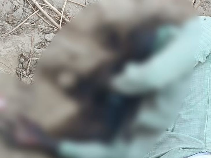 The body of a person was found in a 10 feet deep pit | भरतपुर में 10 ...