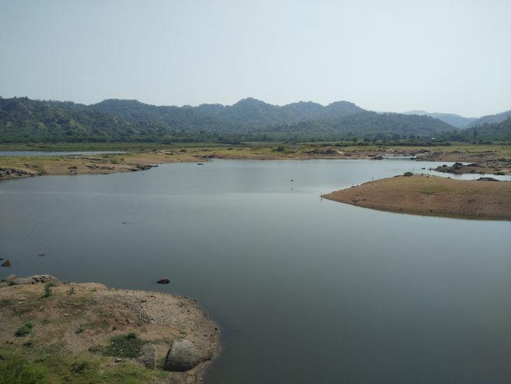 In Desuri area, six dams which dried up in May still have water, the ...