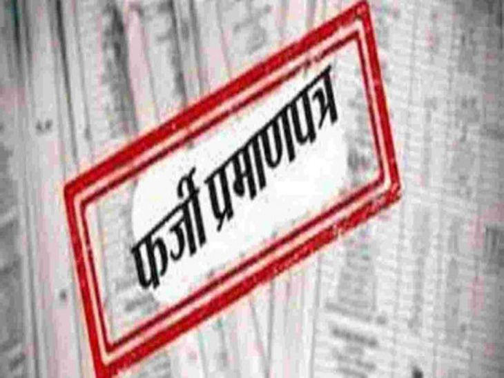 The game of fake registration in the pharmacy council | फार्मेसी ...