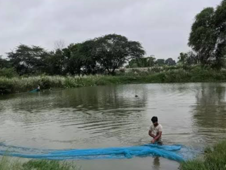 8 lakh fish seeds will be released in Kamla-Karah river | कमला-करैह नदी ...
