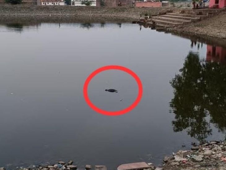 Majhgawan pond took second life in 5 days: old man died due to drowning ...