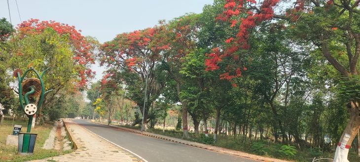 Orange alert for severe heat wave and heat wave till tomorrow, weather ...