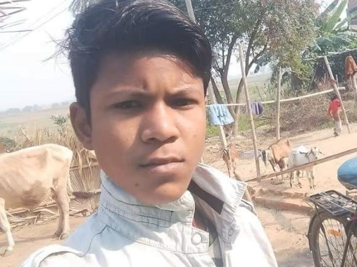 A boy fell from a tree in Banka and died | बांका में पेड़ से गिरा लड़का ...