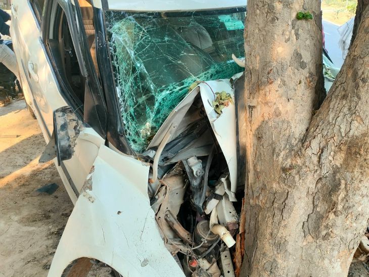 Car collided with a tree while trying to save a stray animal | आवारा ...