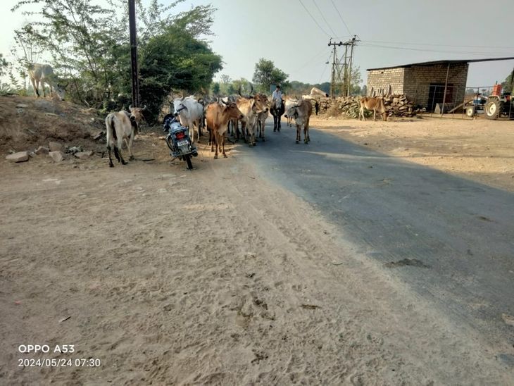 The water of Jamuda, Sarari and Ladpura ghats in the town has dried up ...