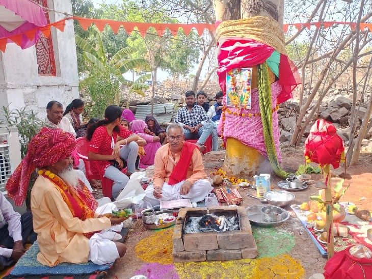Kota Village Banyan Peepal Tree Unique Marriage Ritual | Kanwas | बड़ ...