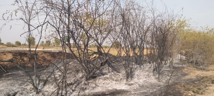 The fire burnt down the acacia fence on the roadside, the villagers ...