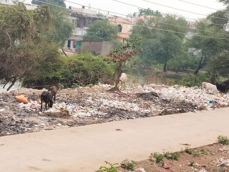 People are troubled by garbage, demand to improve the system | कचरे से ...