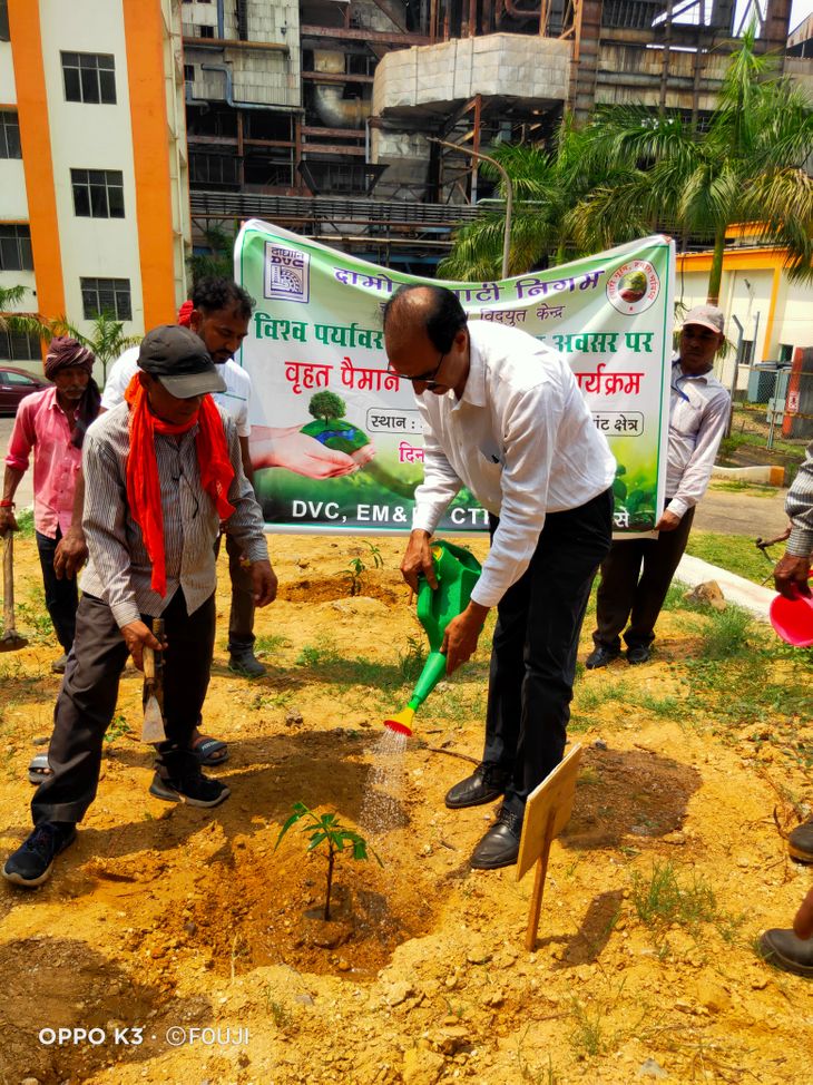 Tree plantation program organized on the occasion of World Environment ...