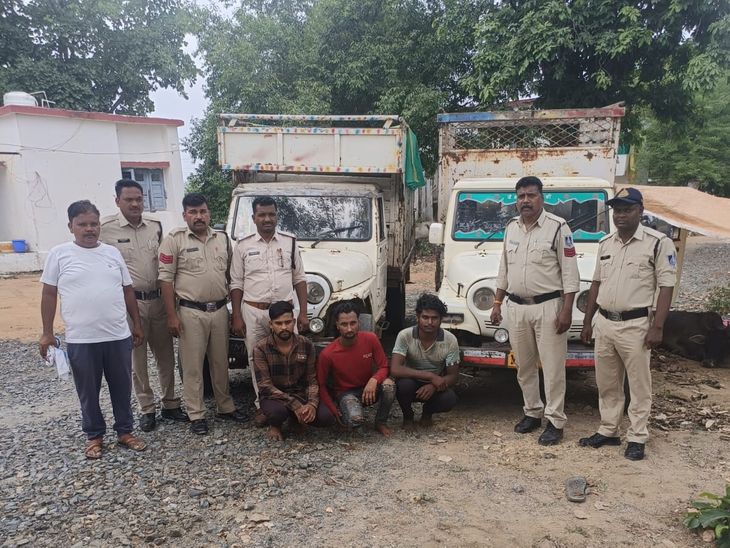 Two vehicles loaded with cattle seized. Three cattle smugglers arrested ...
