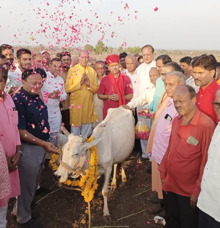 New Gaushala started in 2 bigha land of Barkhedi, 150 cattle shifted ...