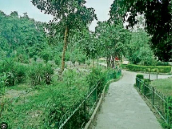 Heritage Corporation will create green zones in parks using Japanese ...