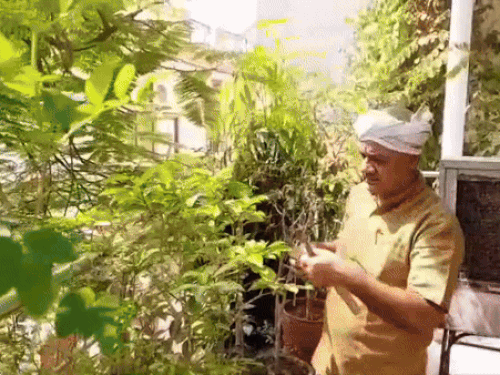 An amazing house in Kashi where you can see many forests. 500 saplings ...