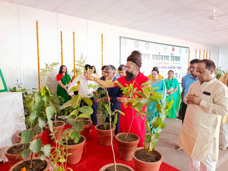 Rajasthan News, Pledge to make the environment green by planting crores ...