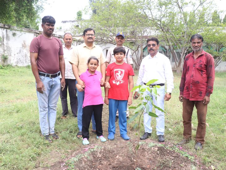 After planting the saplings, the collector said- planting trees and ...