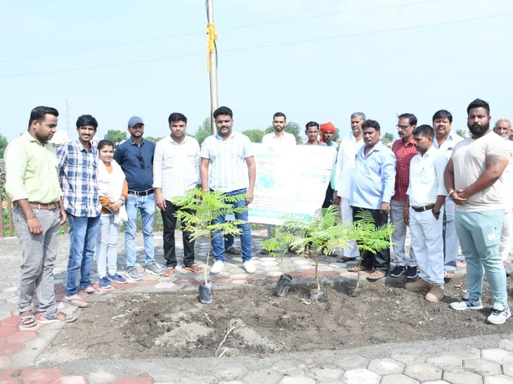 Cleanliness and tree plantation campaign conducted on World Environment ...