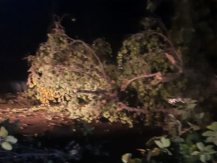 Storm wreaks havoc in Anupshahr of Bulandshahr | बुलंदशहर के अनूपशहर ...