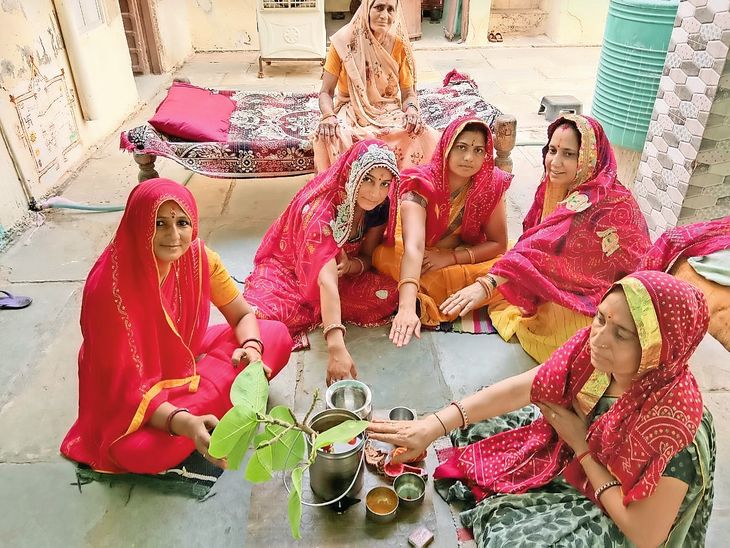 Women kept Vat Savitri fast and worshiped the banyan tree | महिलाओं ने ...