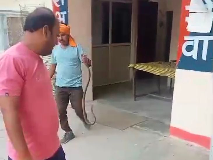 Police personnel ran away after seeing a snake in Indergarh police ...