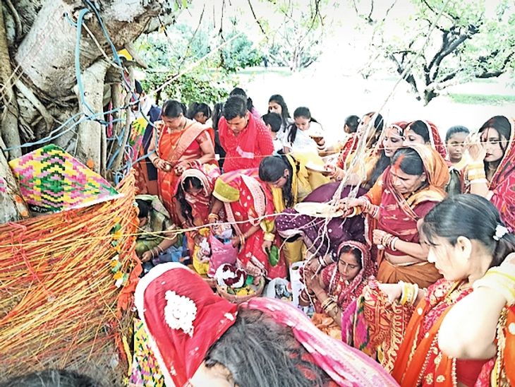 Brahma, Vishnu and Mahesh reside in the banyan tree, wishes are ...