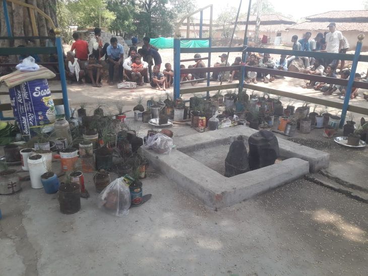 Faith: Bowl worship was done with pomp in Darima | आस्था: दरिमा में ...