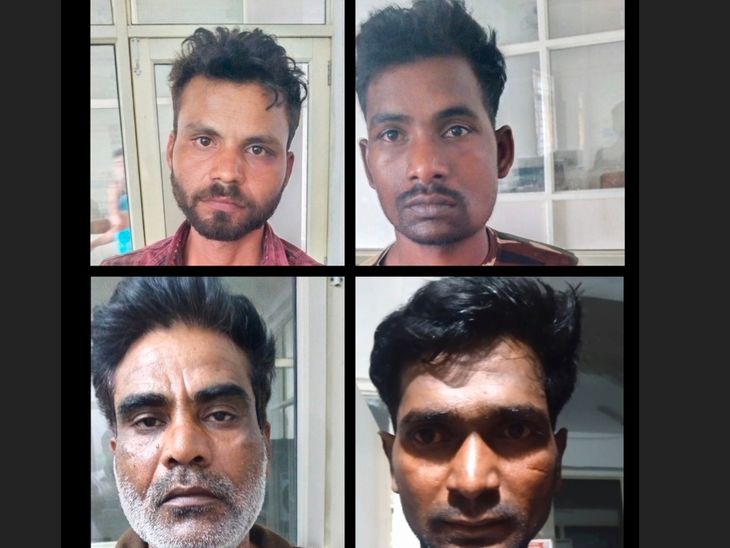 Four members of a gang of thieves arrested