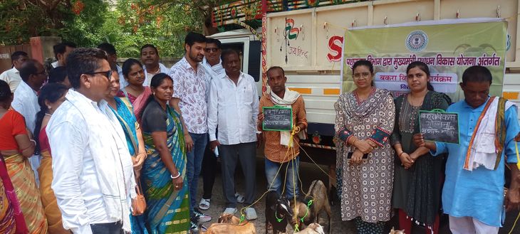 Goats were distributed among 19 beneficiaries | 19 लाभुकों के बीच बांटी ...