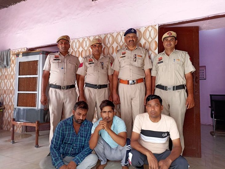 Haryana Fake Salt Suppliers Arrested In Rewari Police | रेवाड़ी में ...