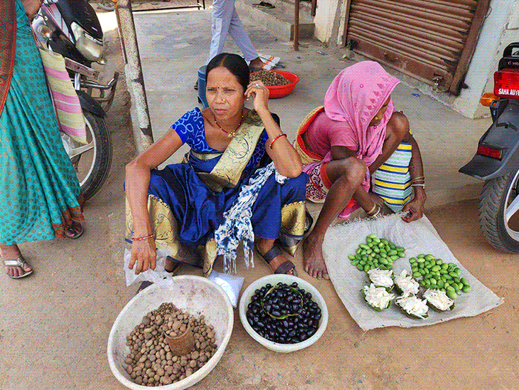 Chhattisgarh Kondagaon Boda Mushroom Bastar Most Expensive Vegetable