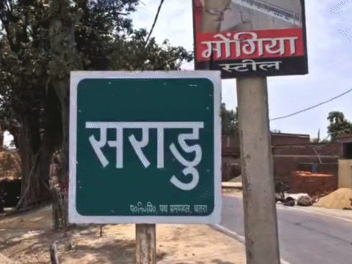 Animals and humans drink water from the same ghat | एक ही घाट से पानी ...
