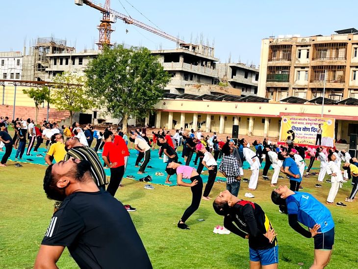 Rajasthan News, Employment Day was organized at Chaugan Stadium by ABVP ...