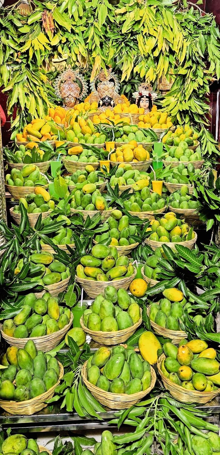 Mango festival: 400 kg of mangoes were offered to Shreeji | आम्र उत्सव ...
