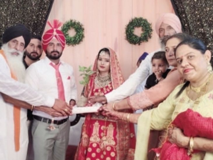 Haryana Dabwali's unique wedding - Plants given to wedding party with ...