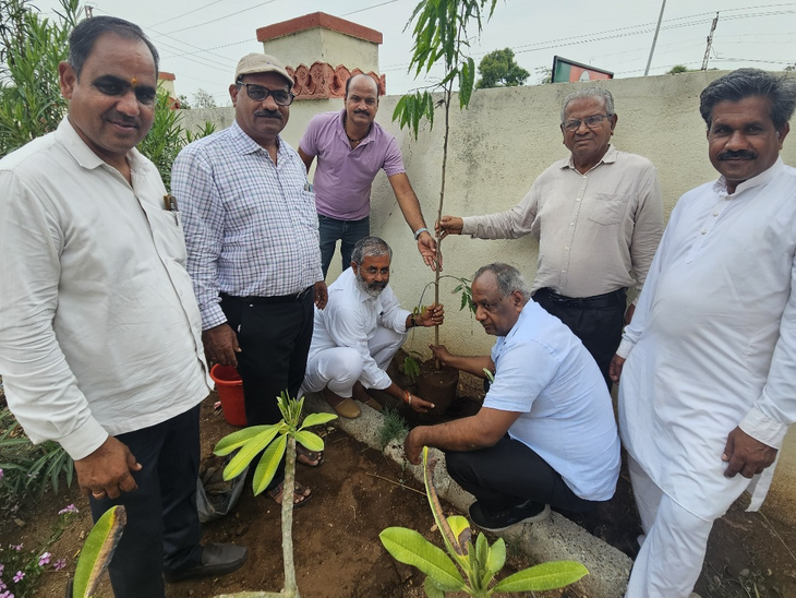 BJP's 'One tree in the name of mother' campaign | भाजपा का ‘एक पेड़ मां ...