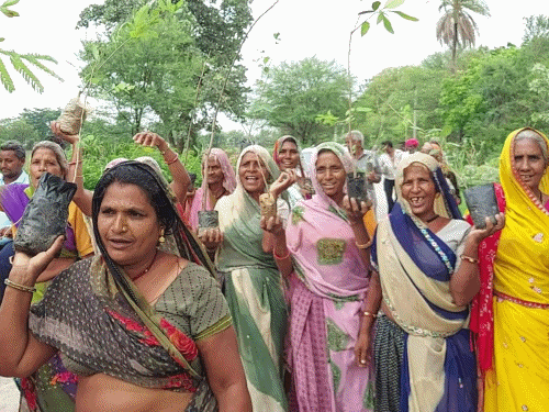 One person one tree campaign in Badi Sadri | बड़ी सादड़ी में एक व्यक्ति ...