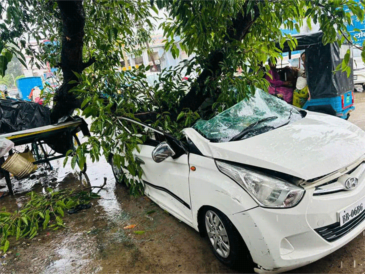 Huge tree fell on car during rain | बारिश के दौरान कार पर गिरा विशाल ...