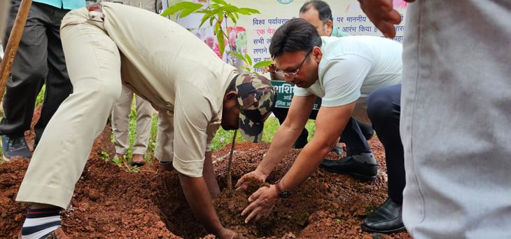 Plantation in KV: Pledge to protect till it becomes a tree