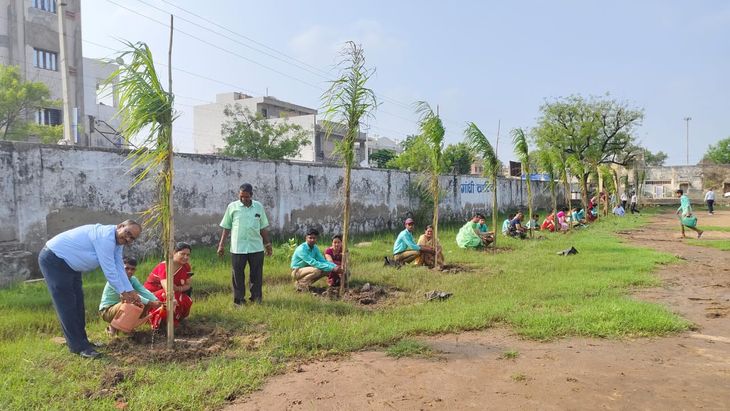 15 saplings were planted, blood donation camp will be held today | 15 ...