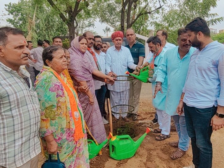 MP Lumbaram Choudhary planted trees | सांसद लुंबाराम चौधरी ने किया ...