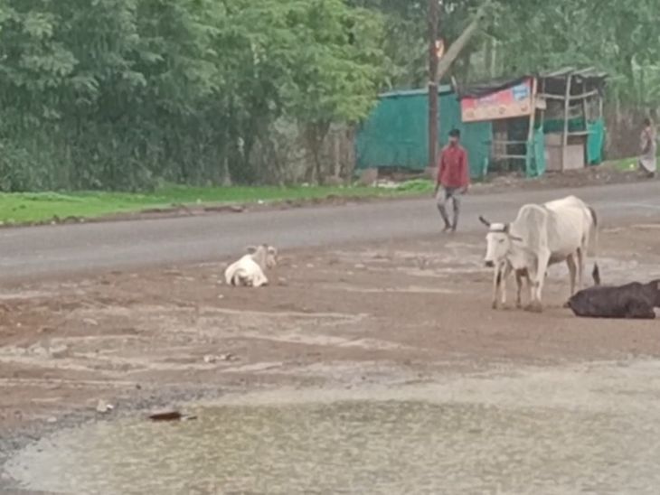 So far 195.3% rain has occurred in Vidisha, maximum rain has occurred ...