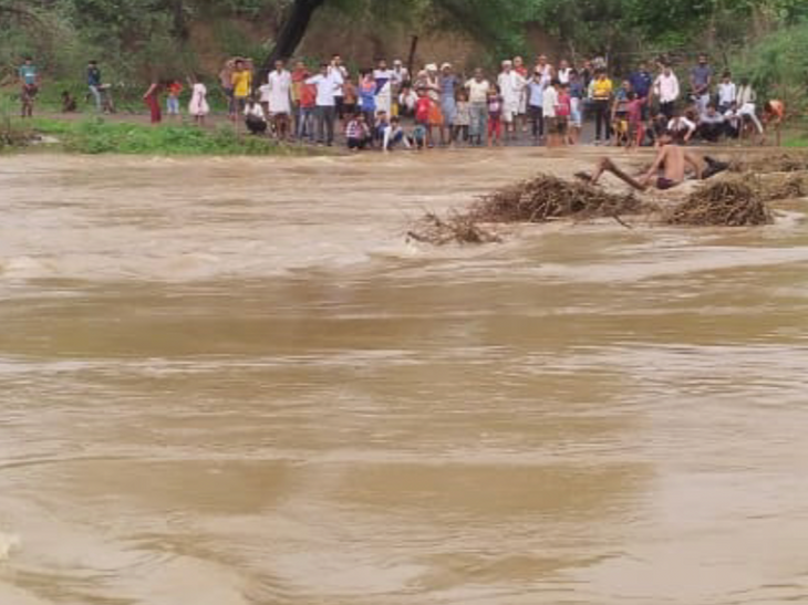 Water came on the bridge of Son river in Morena | मुरैना में सोन नदी के ...