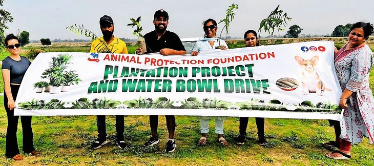 Animal Protection Foundation planted trees in Jalandhar Cantt | एनिमल ...